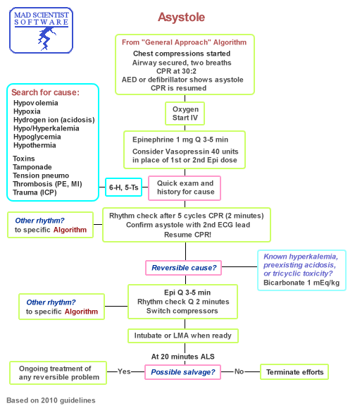 TENTANG JANTUNG: PENATALAKSANAAN PASIEN DENGAN ASYSTOLE SESUAI ACLS 2010