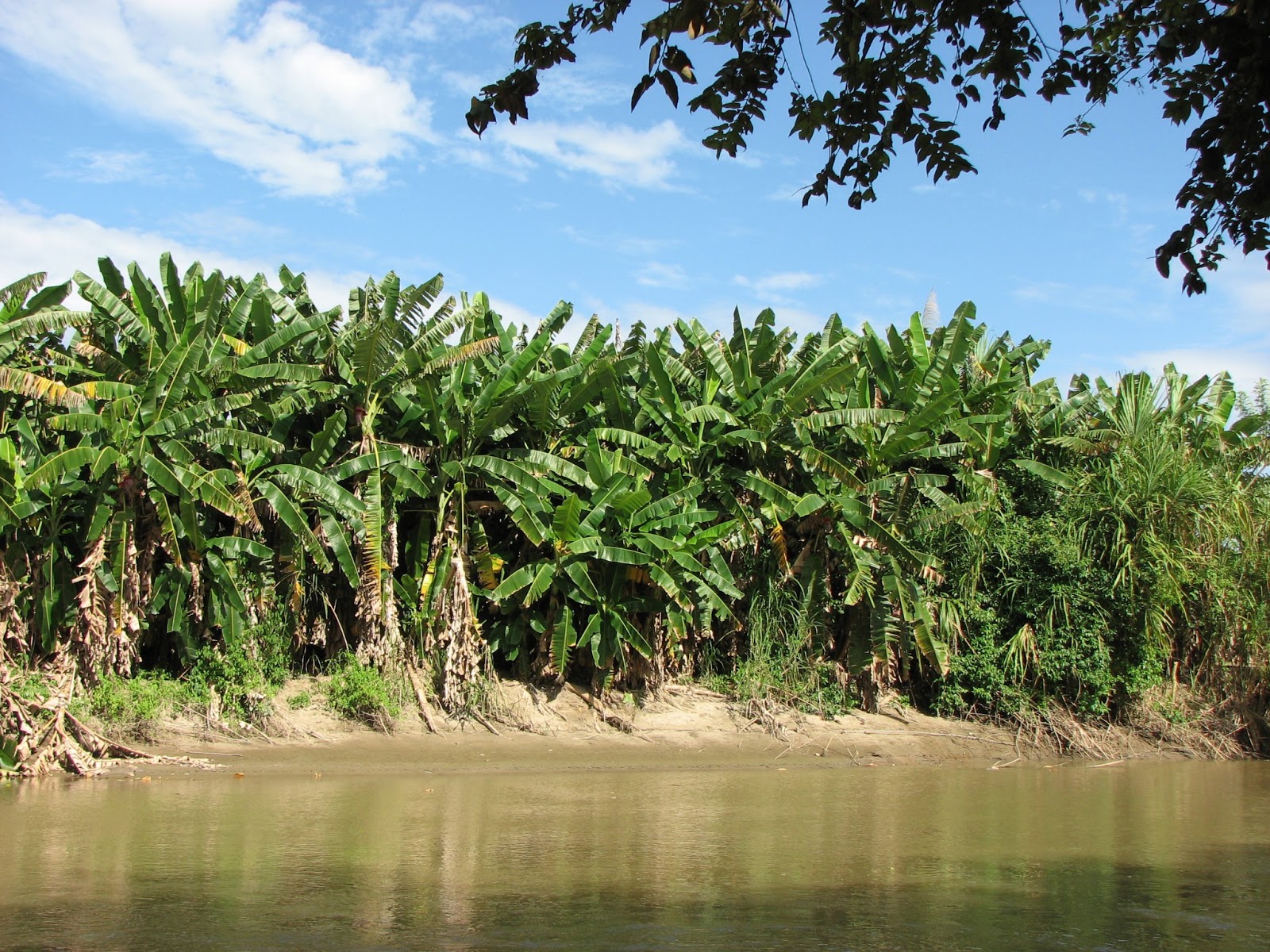 Noticias, Arte, Cultura y Turismo: Río Magadalena, Historia