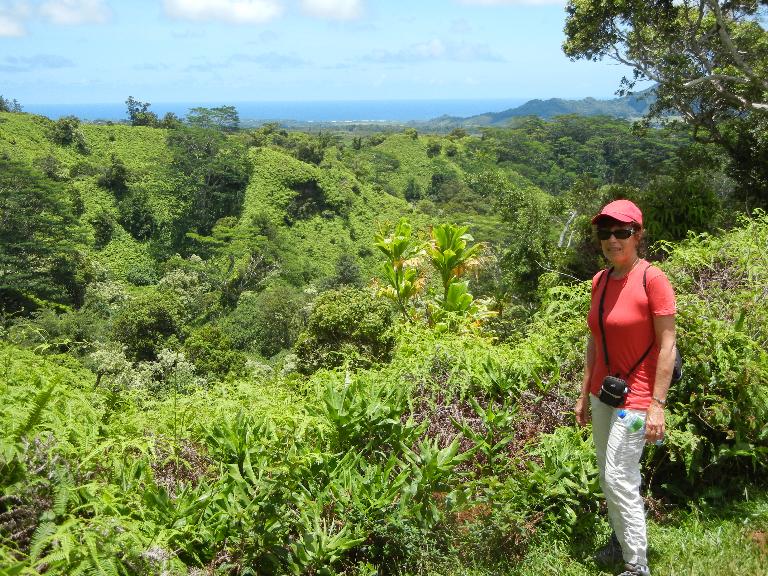 Lazarow World-Hike-About: Hikes 12 and 13: Kuilau Ridge & Moalepe Trail