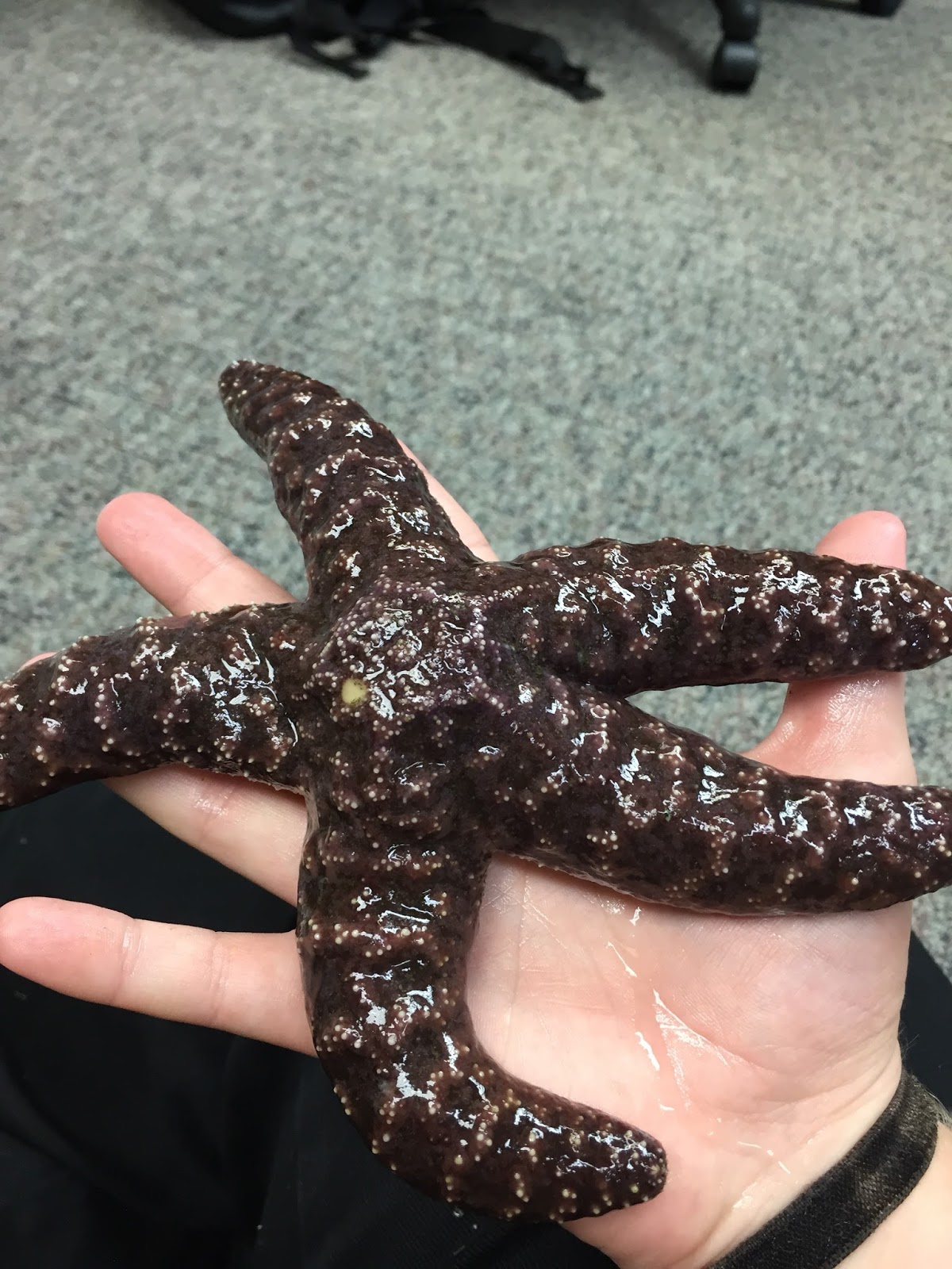 Park Ranger Miss Barnhardt