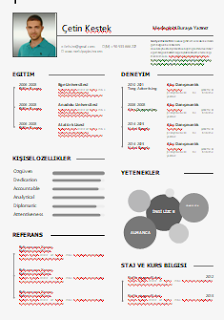 MODERN RESİMLİ CV ÖRNEKLERİ - CV ÖRNEK İNDİR