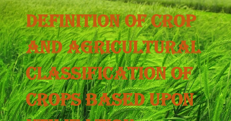 Definition of Crop and agricultural classification of crops based upon ...