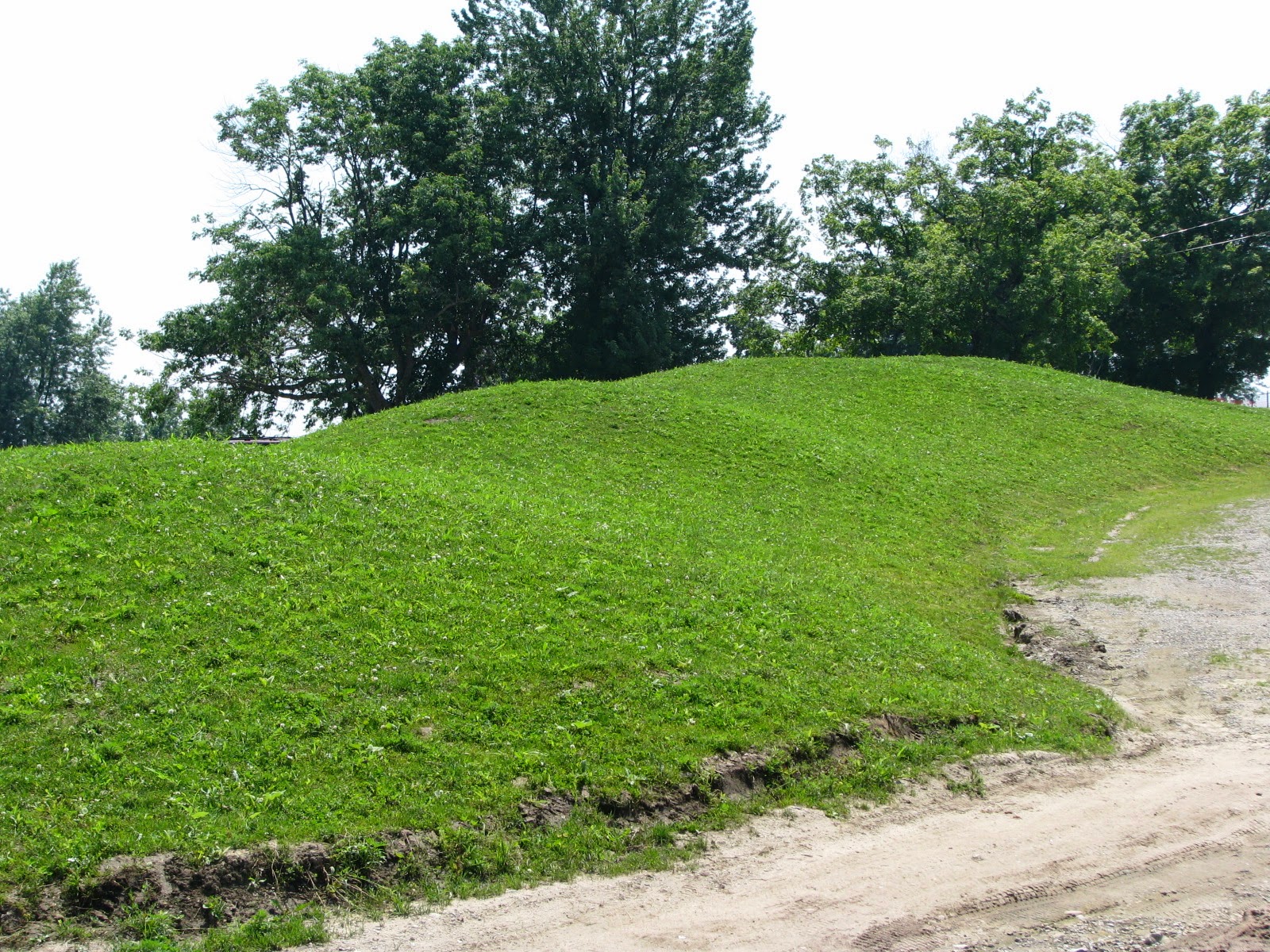 Whitevale Golf Club: July 2014