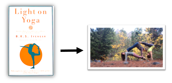 Mrs. Robison's Blog: Independent Reading Assignment: Non-Fiction: Take ...