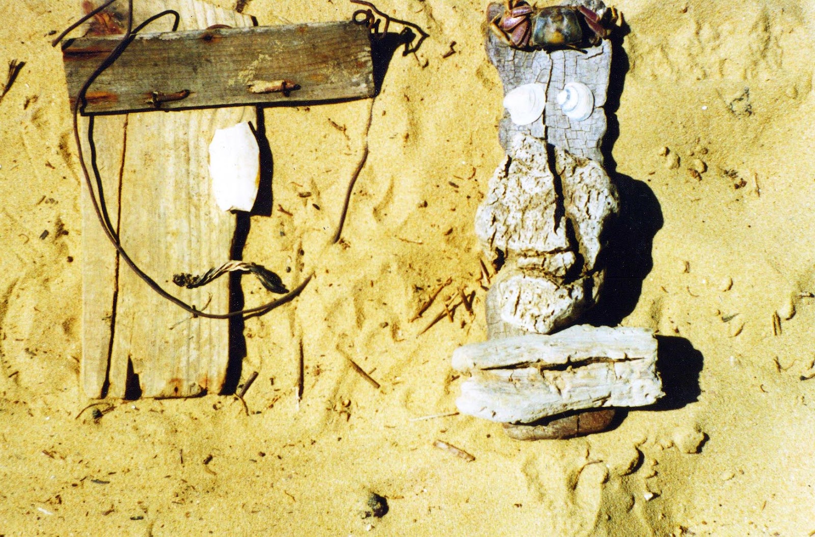 Gill Bradley's Life is a Beach