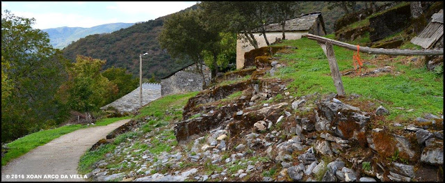 XOAN ARCO DA VELLA: MOREDA - O COUREL