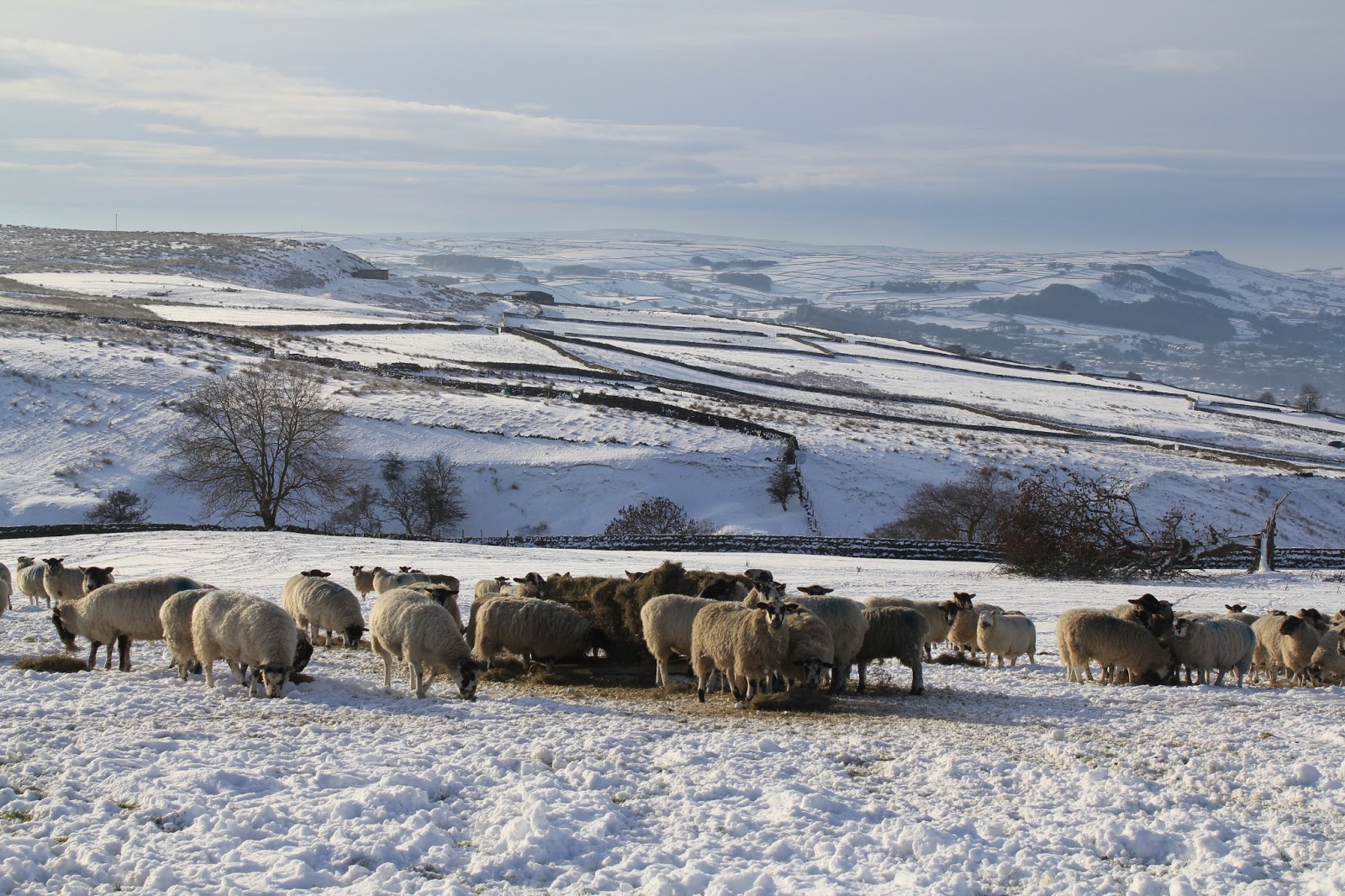 Silsden -- A Living History