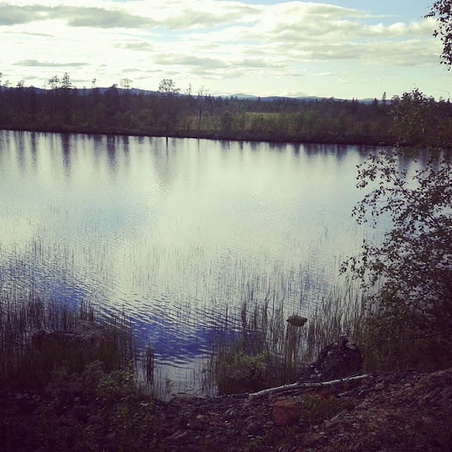 MicroCosmos: insta Finland