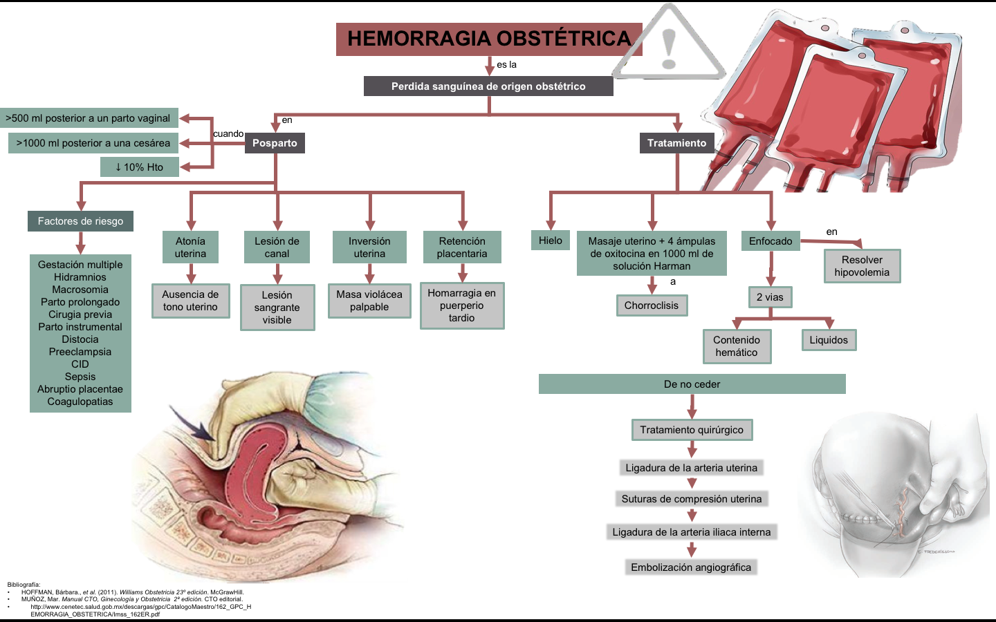 BLOG DE EVIDENCIAS DE LA MATERIA DE GINECOLOGÍA Y OBSTETRICIA.: Hemorragia obstétrica.