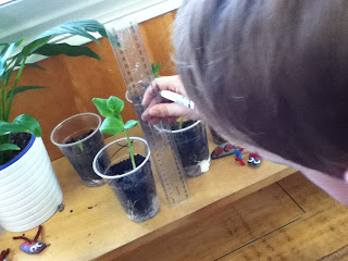 Prepare to Play!: The Long And The Short Of It