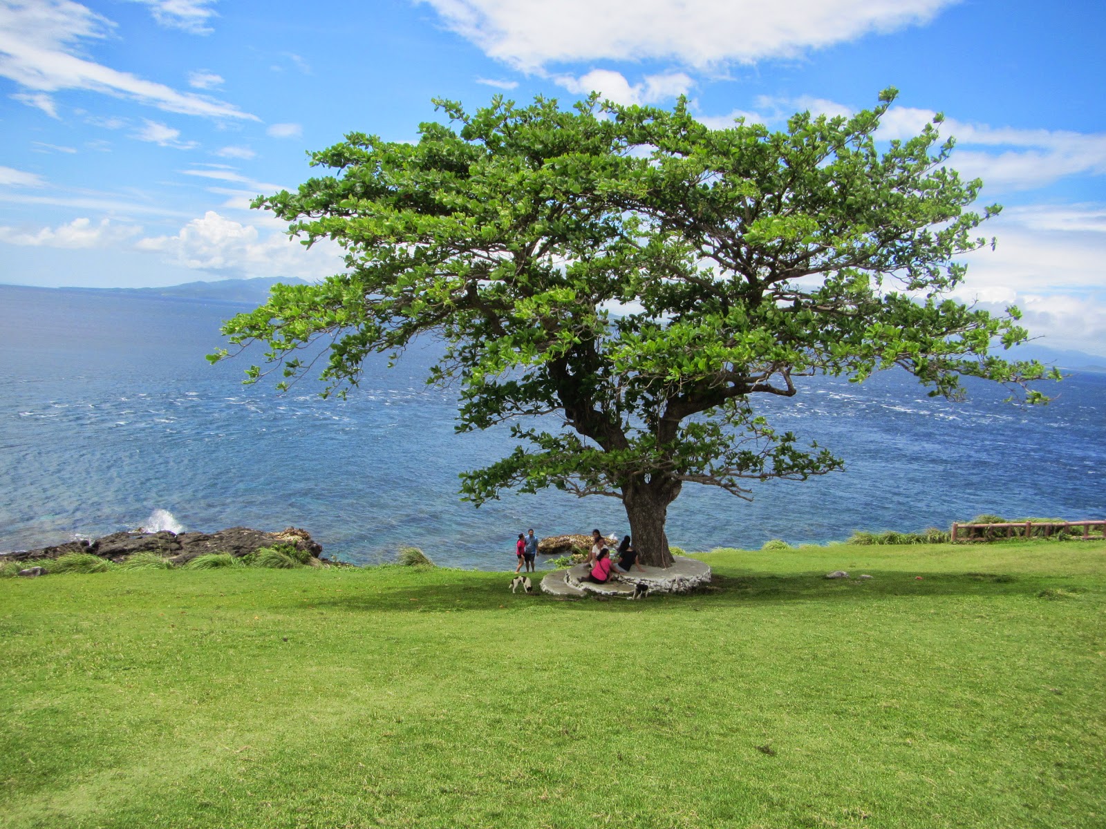 LEXICAL CROWN: CAPUL ISLAND