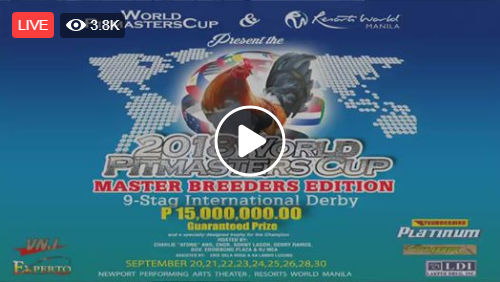 First Day of 157 Fights (World PitMasters Cup Master Breeders Edition ...