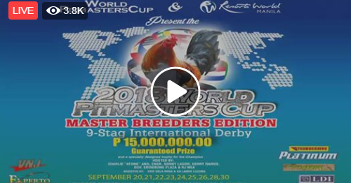First Day of 157 Fights (World PitMasters Cup Master Breeders Edition ...