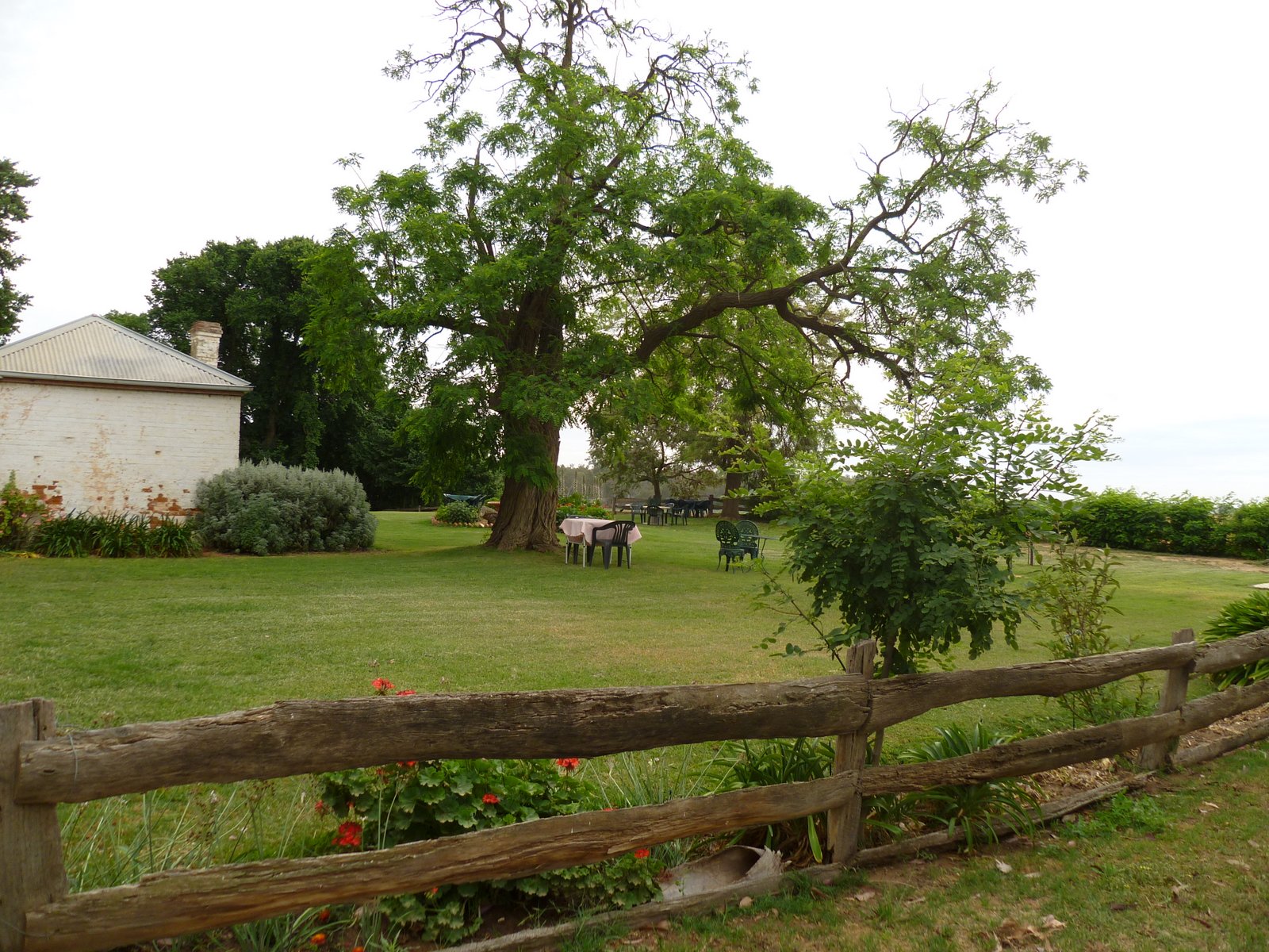 Witchwae on the Move: Byramine Homestead - near Yarrawonga