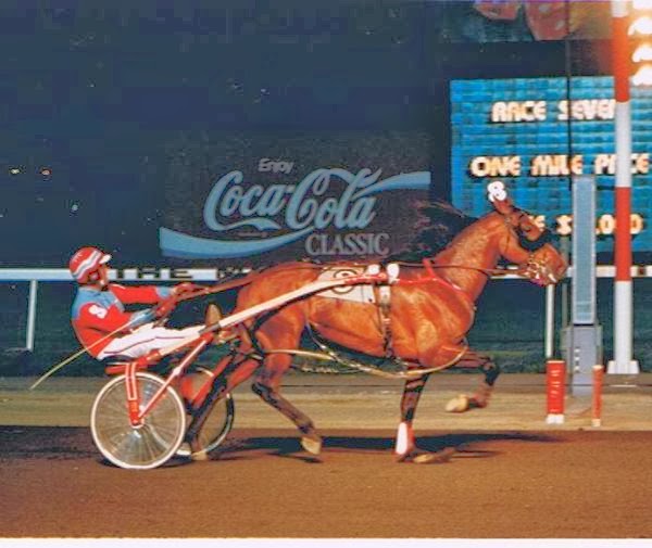 The FREDERICTON SCENE: The Greatest Horses ever developed at ...