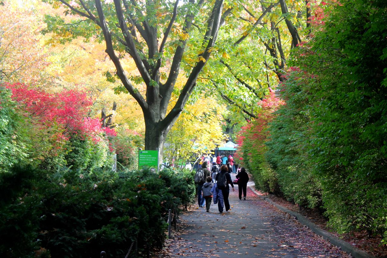 At the Bronx Zoo in a New York Autumn