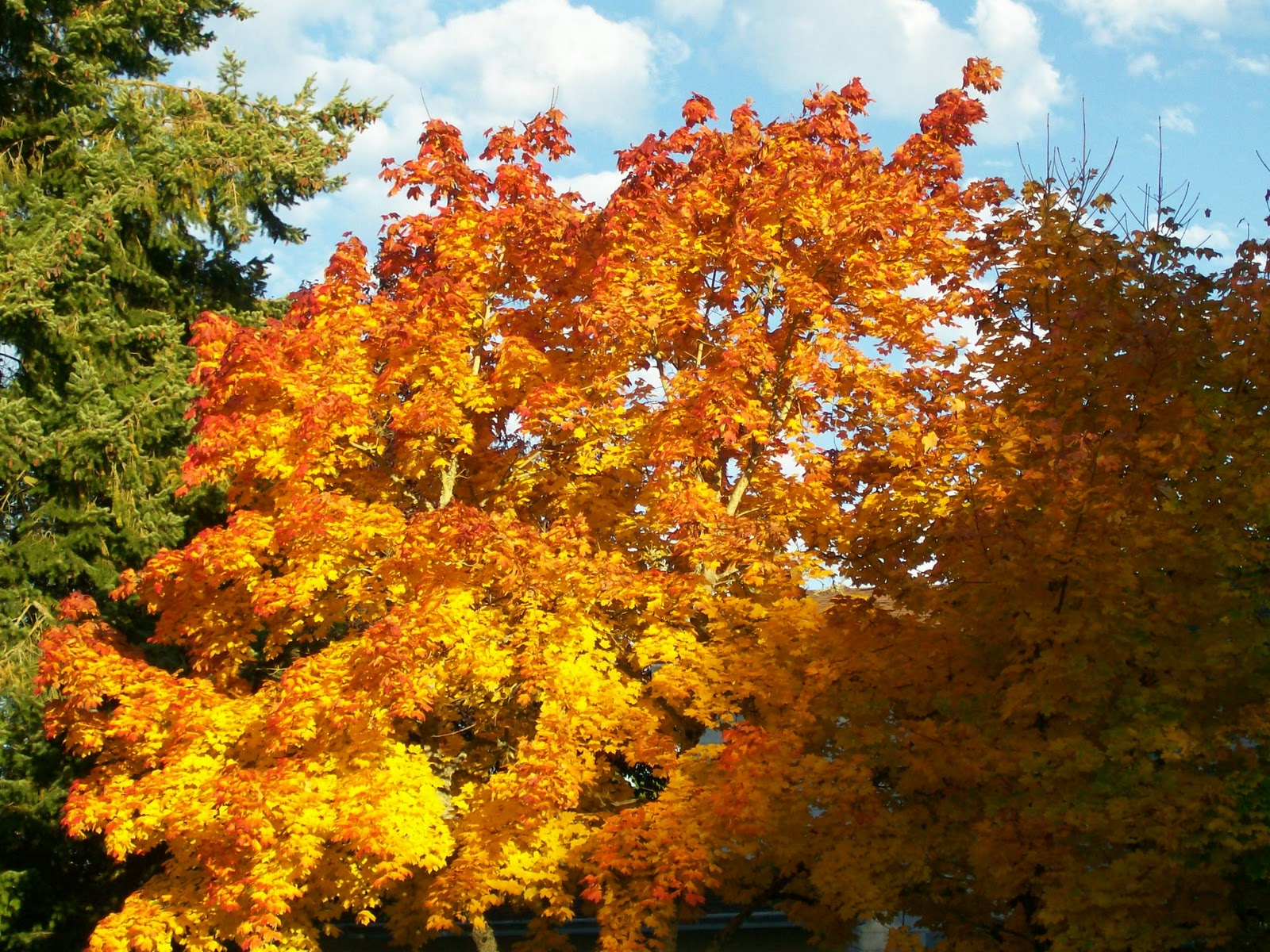 Fall reflection - something to think about