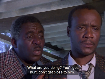 The Department of Afro American Research, Arts and Culture