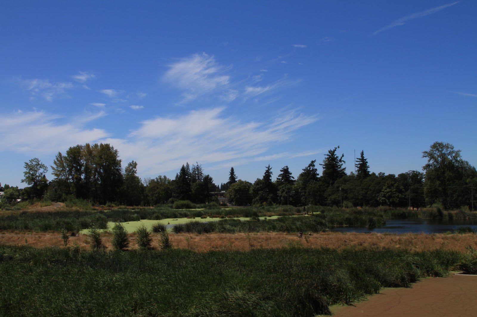 Mid Valley Blogger: Talking Waters Garden Revisited