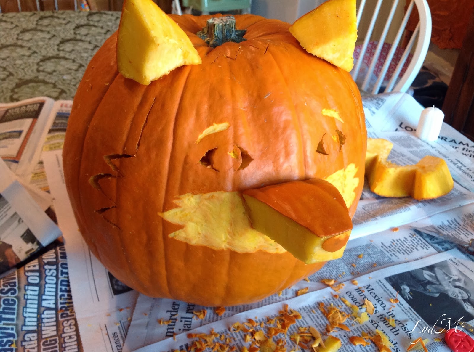 Sweet Roasted Pumpkin Seeds & One Foxy Pumpkin