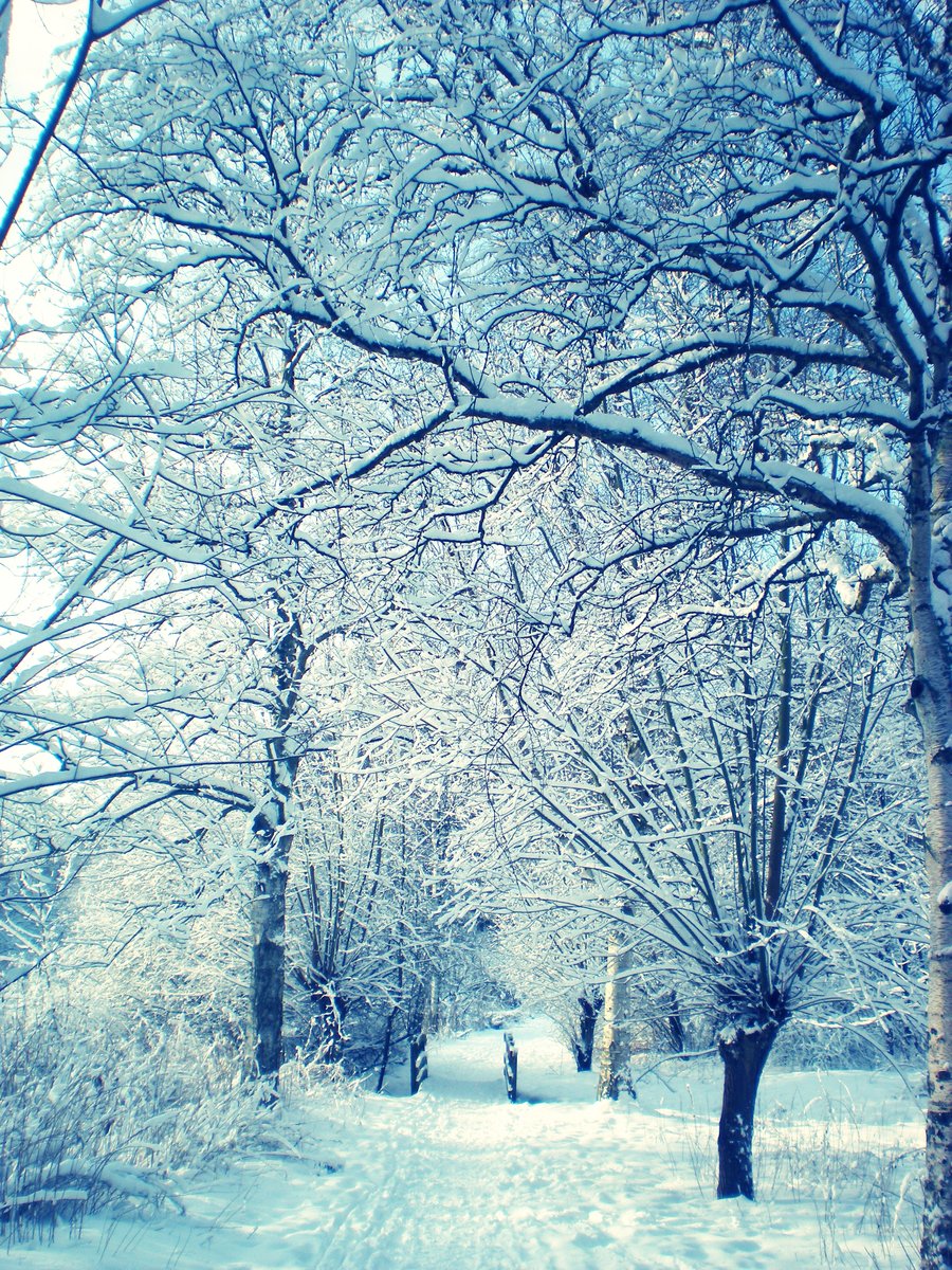 Imagini cu Zapada - Peisaje Zapada