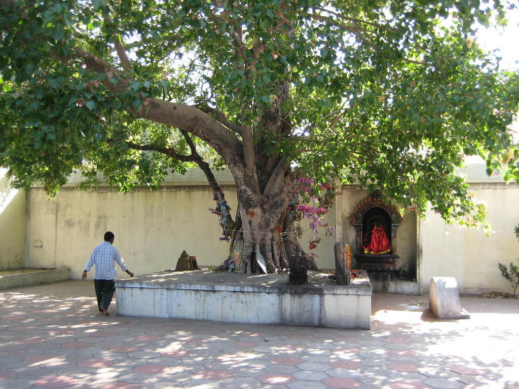 Tamilnadu Tourism: Adi Kamakshi Devi Temple, Kanchipuram