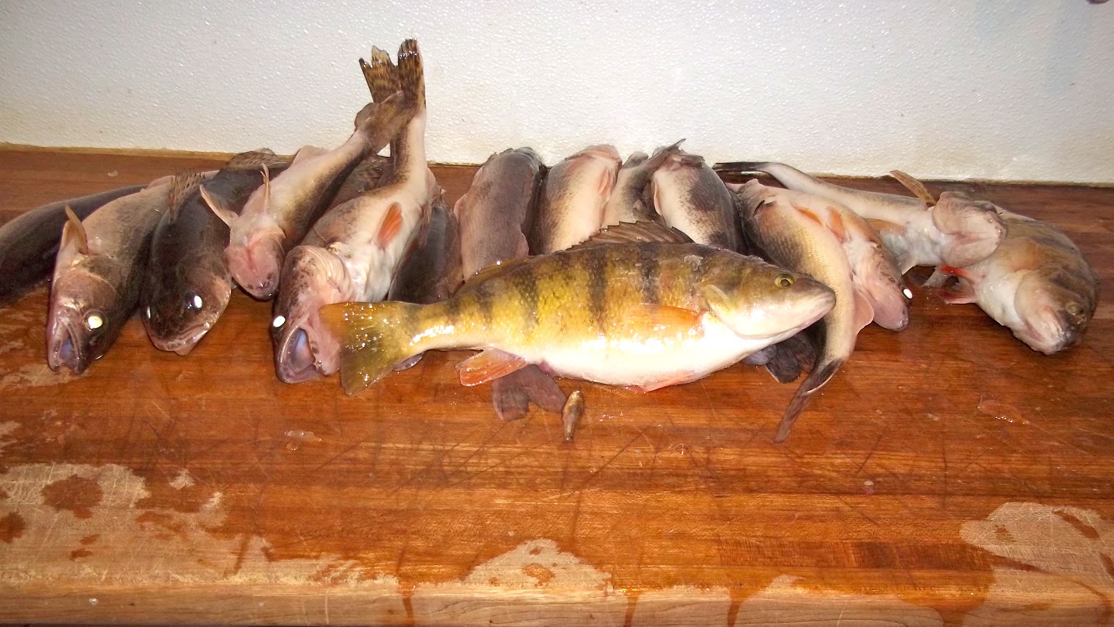 Angle Outpost Resort: Red Fox Ice Fishing Company's "Good Ol' Boys"