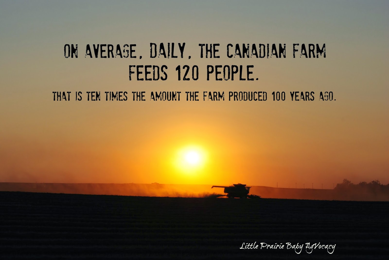 Little Prairie Baby: Canadian Farms