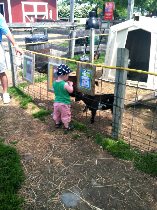 Be Your Own Lady: Davis Farmland: A Two-Under-Two Review