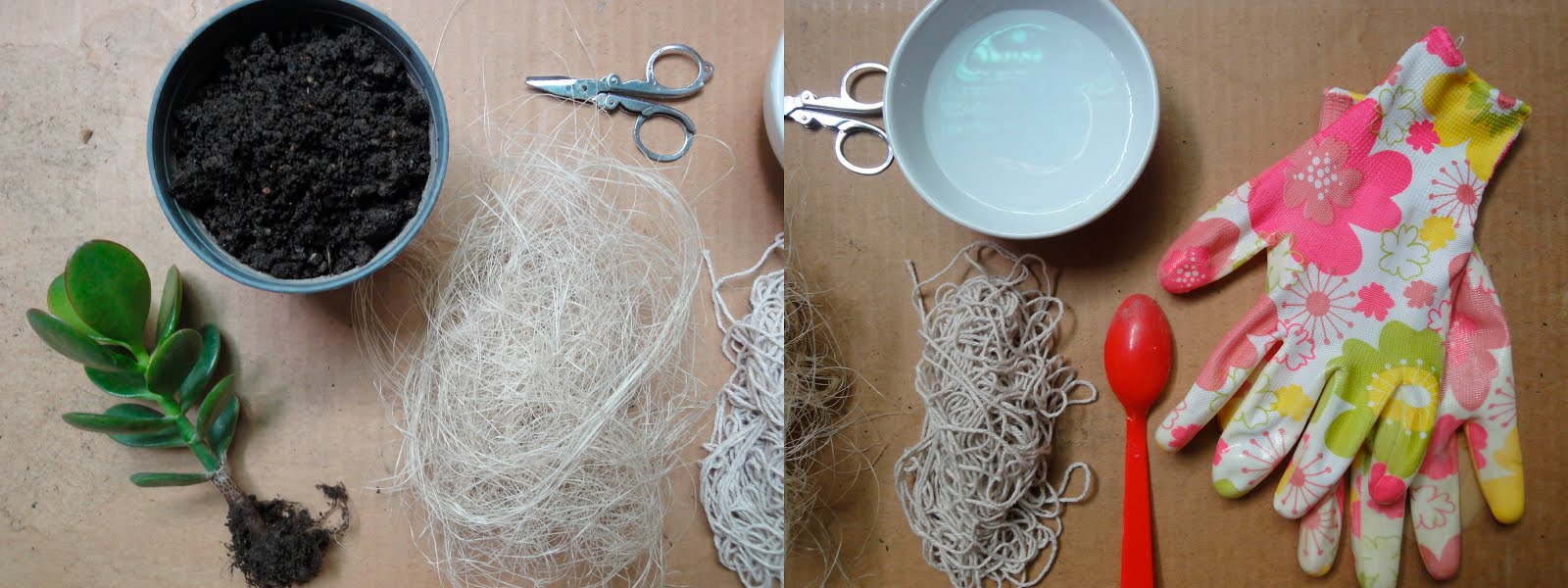 ¿Cómo hacer un kokedama? | saperes