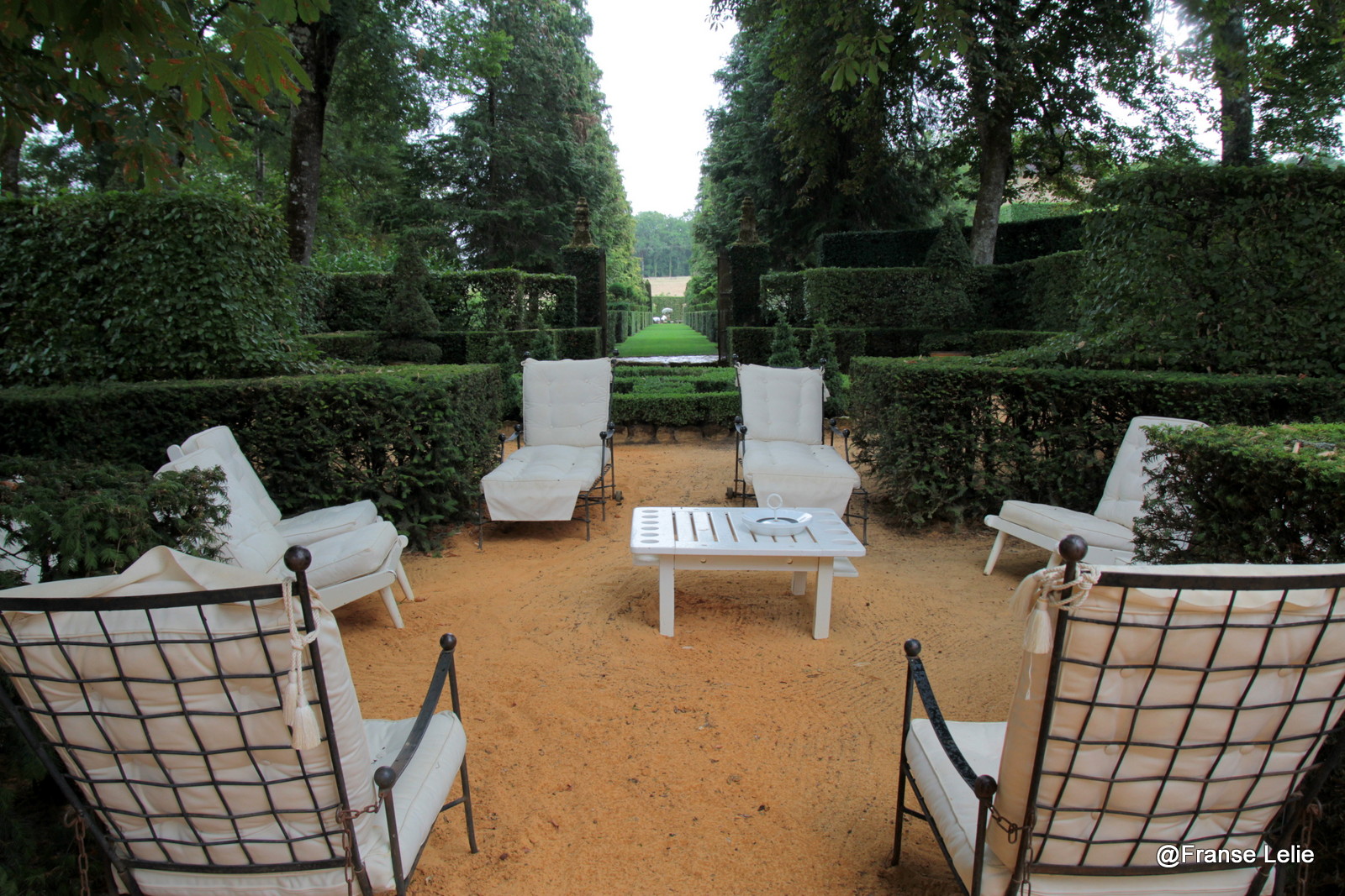 Franse Lelie: Wat een tuin!