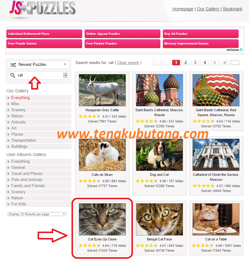BERMAIN JIGSAW PUZZLE SECARA ONLINE DI JS PUZZLES
