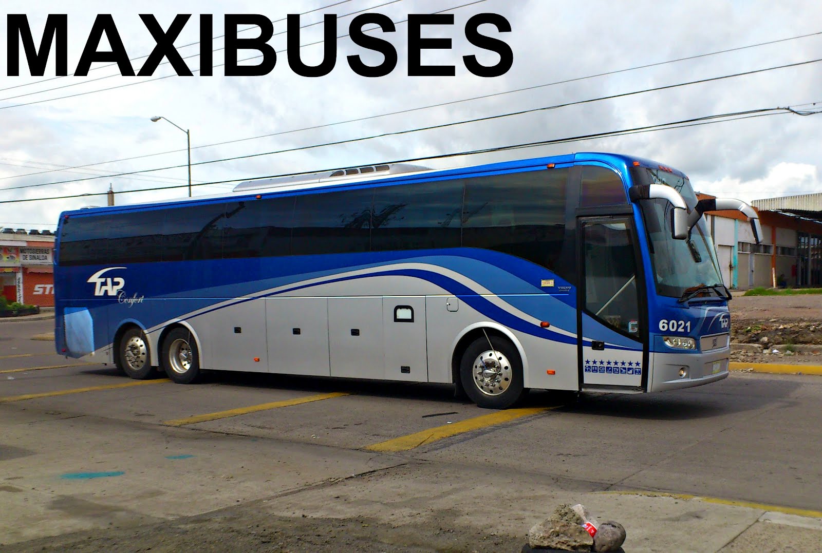MAXIBUSES: TRANSPORTES Y AUTOBUSES DEL PACÍFICO, CONFORT (TAP CONFORT)
