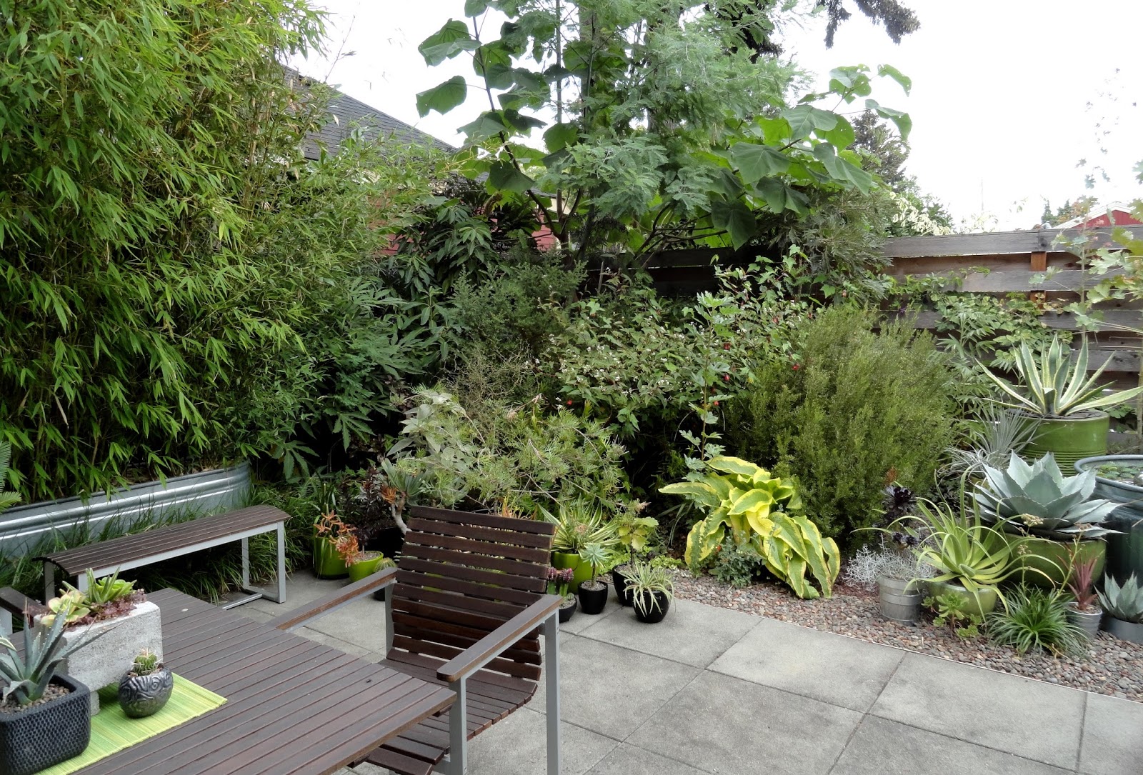 danger garden: U.G.L.Y. obscured (finally!)