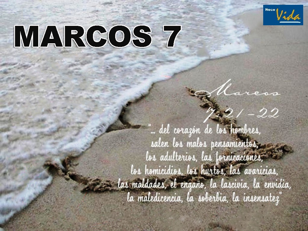 Neco Vida: Leyendo... Marcos capítulo 7
