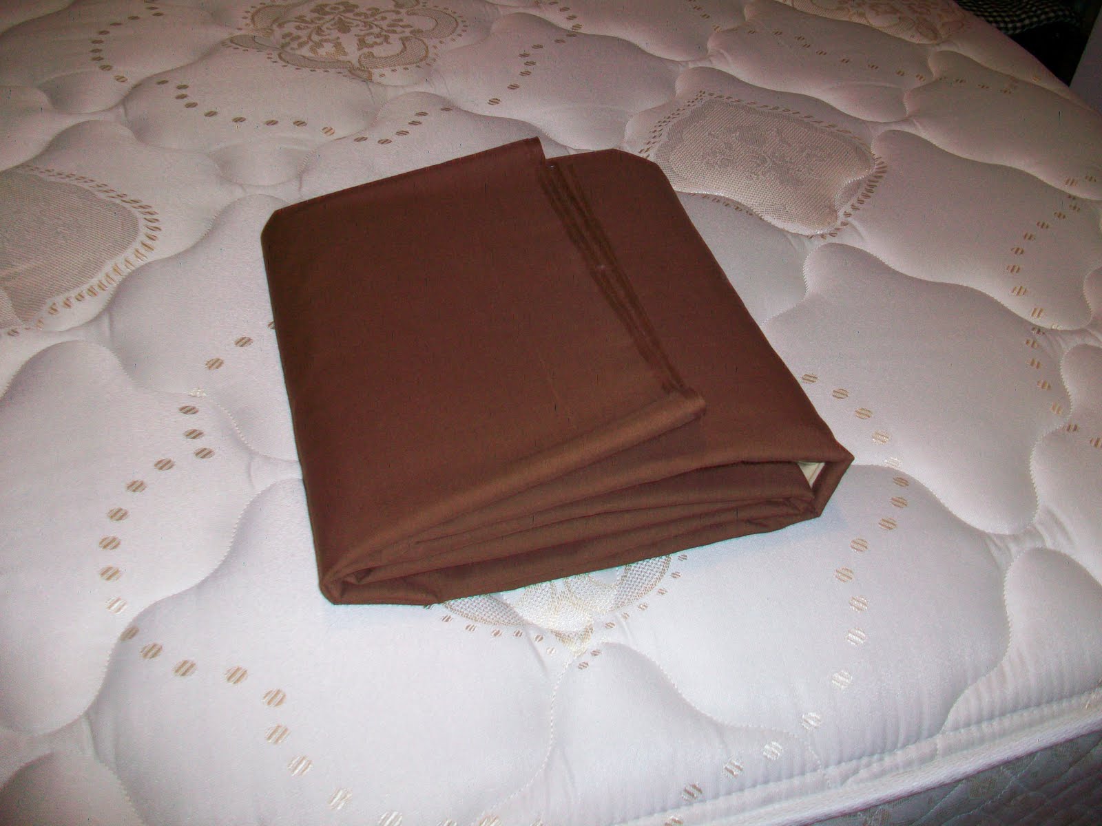 FLY AWAY HOME : ~ Father knows best