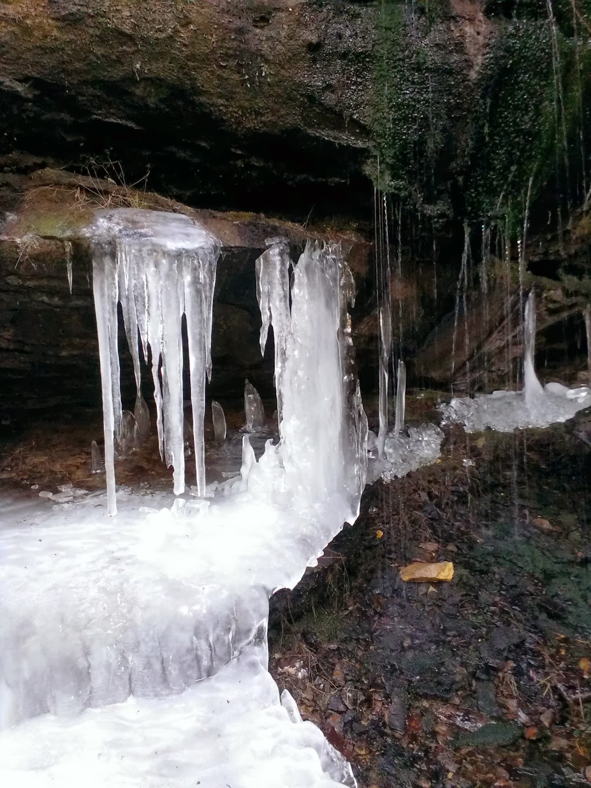 TRAVELING on a BUDGET : Northrup Falls located at Colditz Cove State ...