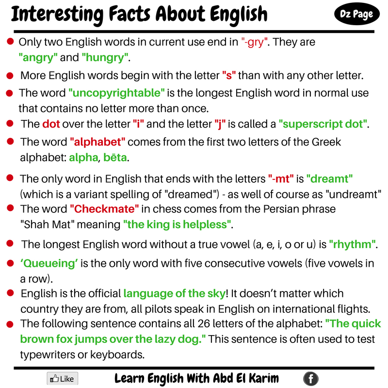 Addicted to English!!: Curiosity killed the cat....