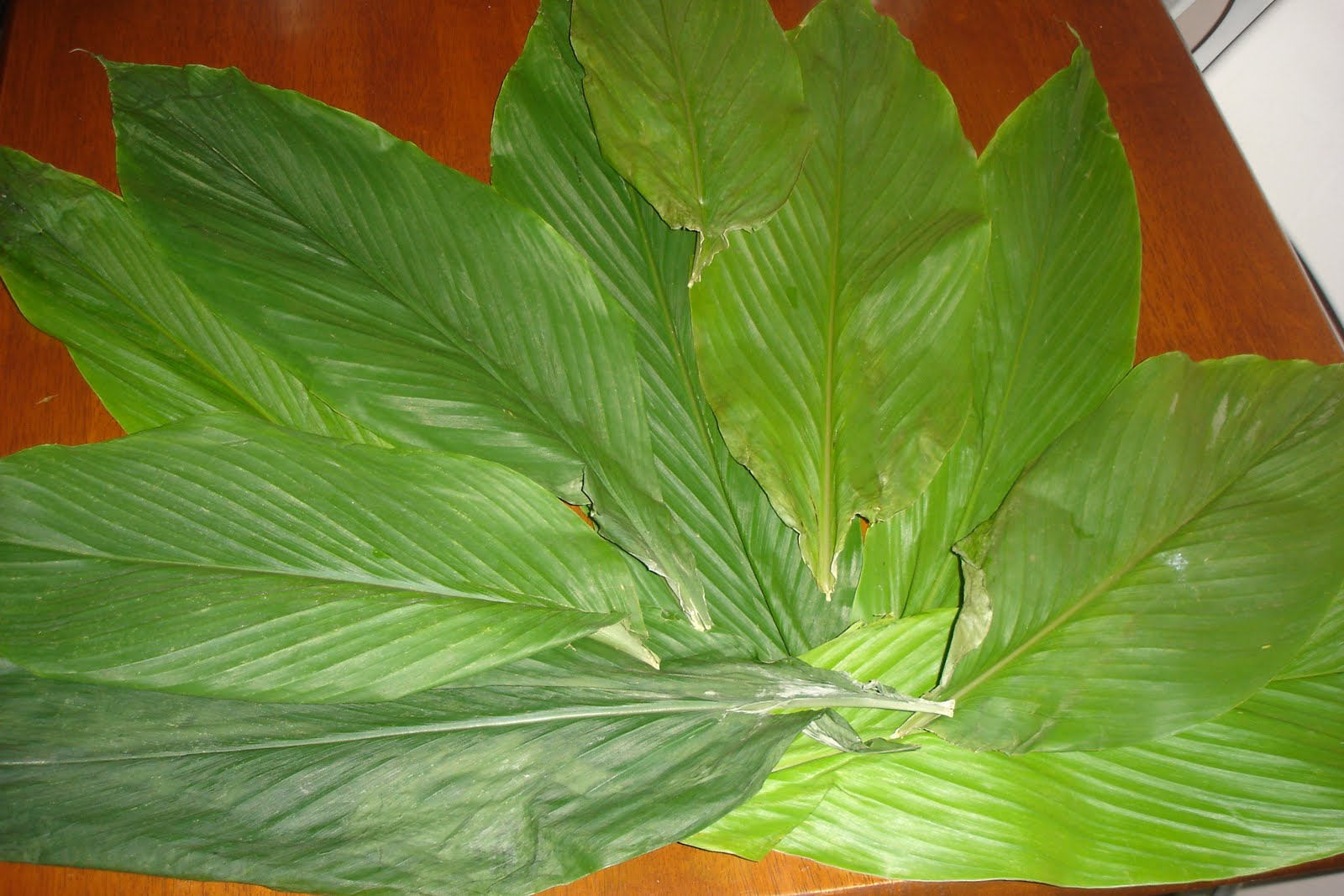 Yummilicious - The Food Blog: Patoli