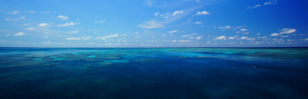 Lucey Blue: Back to Bait Reef, just one last time...