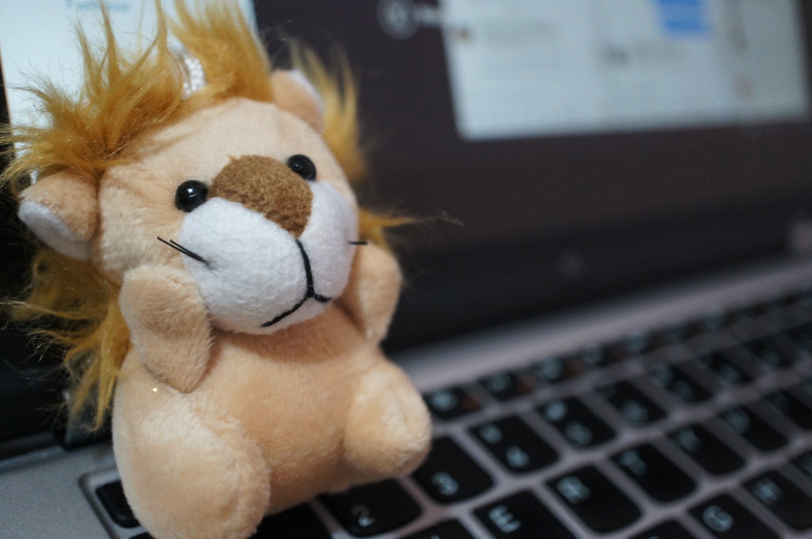 Toy lion on a laptop keyboard free picture for commercial use