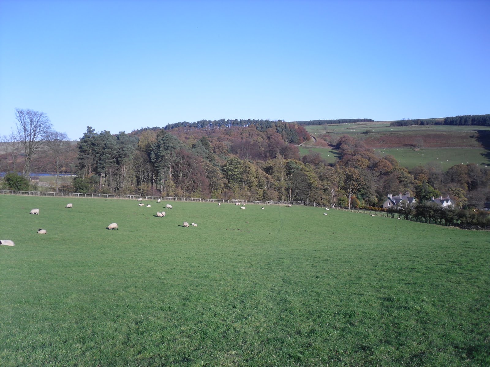 Rambling Nana: Wolsingham, Tunstall Reservoir Circular