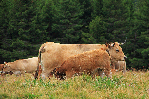 Retour au pensionnat Louis Mallet: