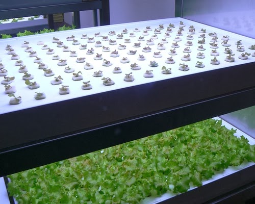 Design Stack: A Blog about Art, Design and Architecture: Urban Farm ...