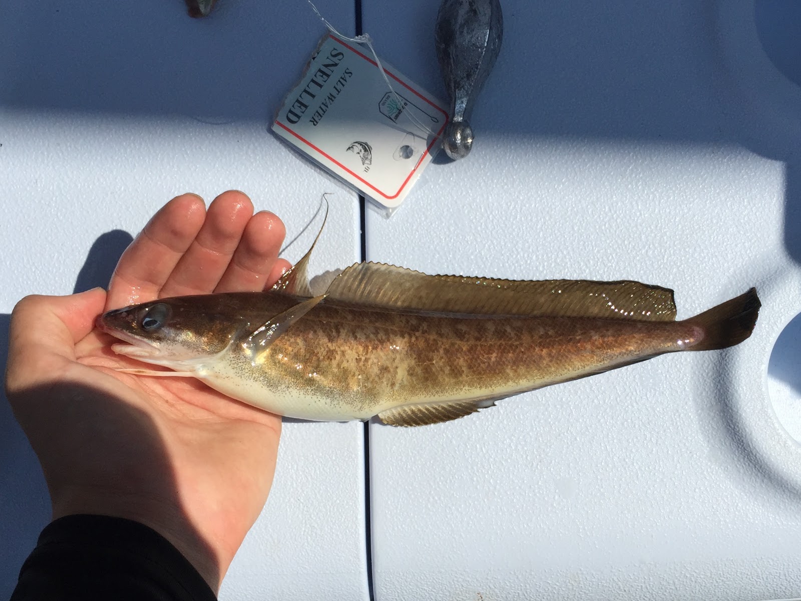 Bass on the Golf Course