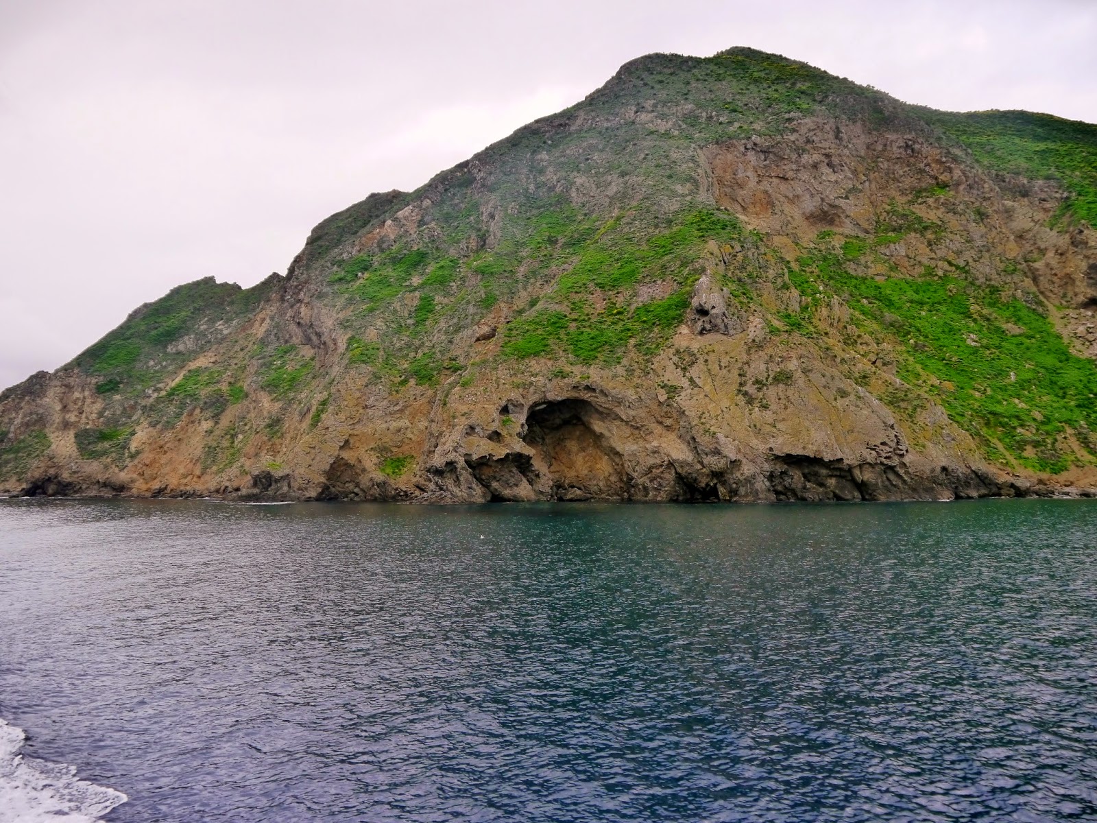 American Travel Journal: Channel Islands National Park - Anacapa Island ...