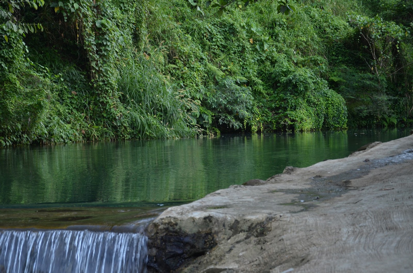 Villa Felomina Natural Spring Resort: Villa Felomina Resort