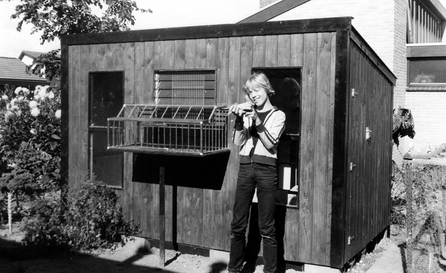 Langs het Duivenpad: The sound of breaking glass