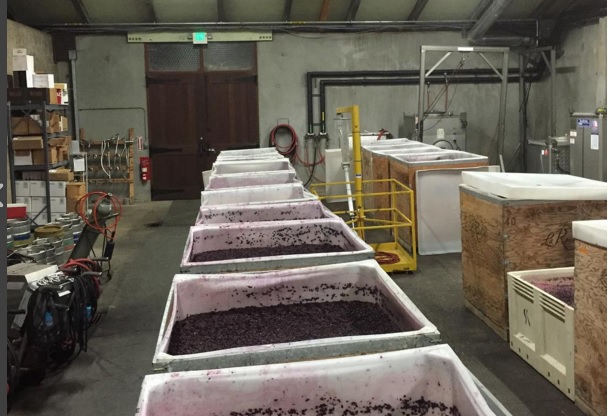 MF Brain Cancer Fighting Ninja Warrior