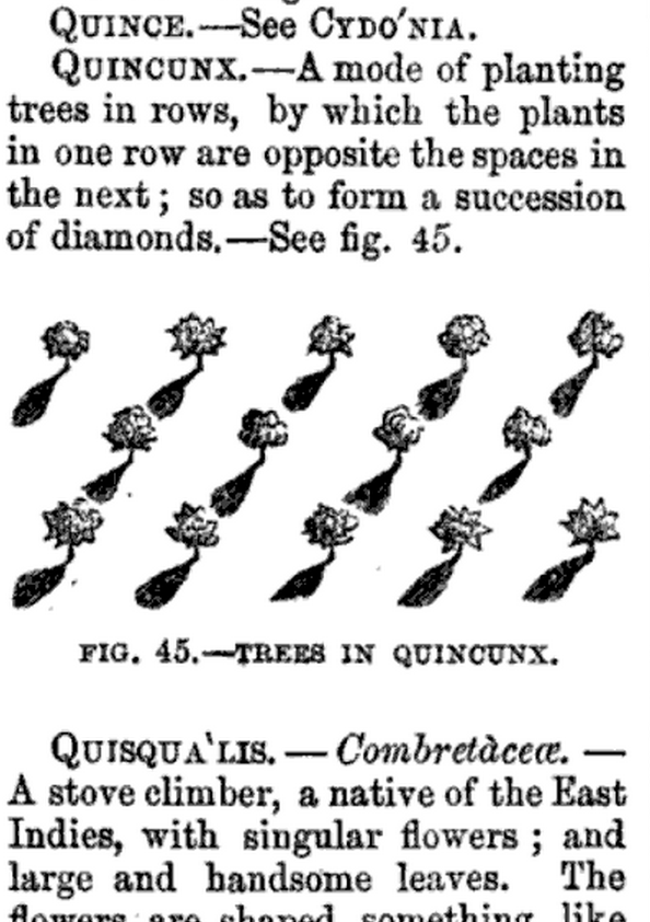 What Is Quincunx Method Of Planting at George Bousquet blog